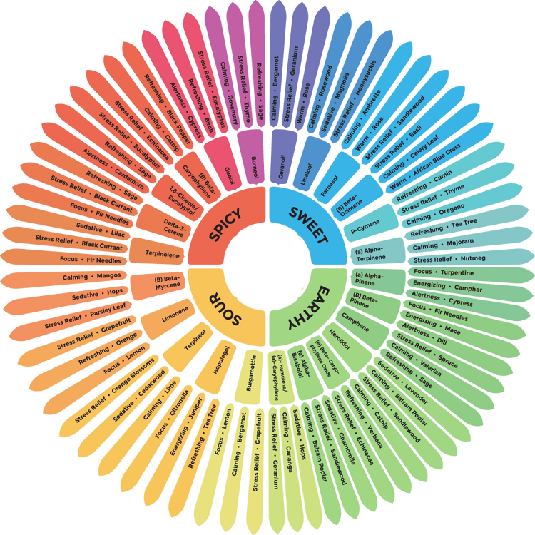 Terpenes 101 – Farmulated